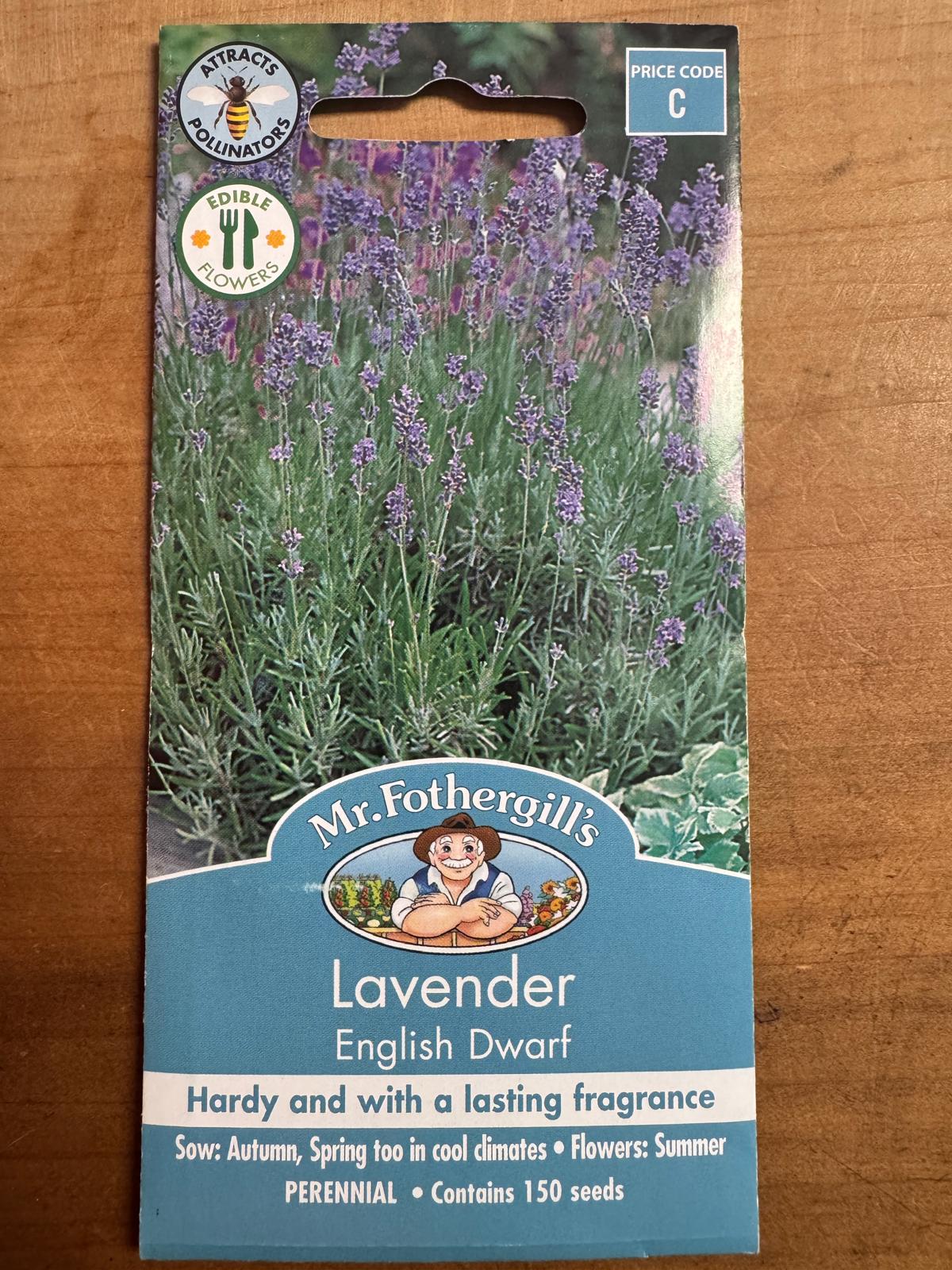 Shop Lavender - English Dwarf - Timberline - Landscape Supplies