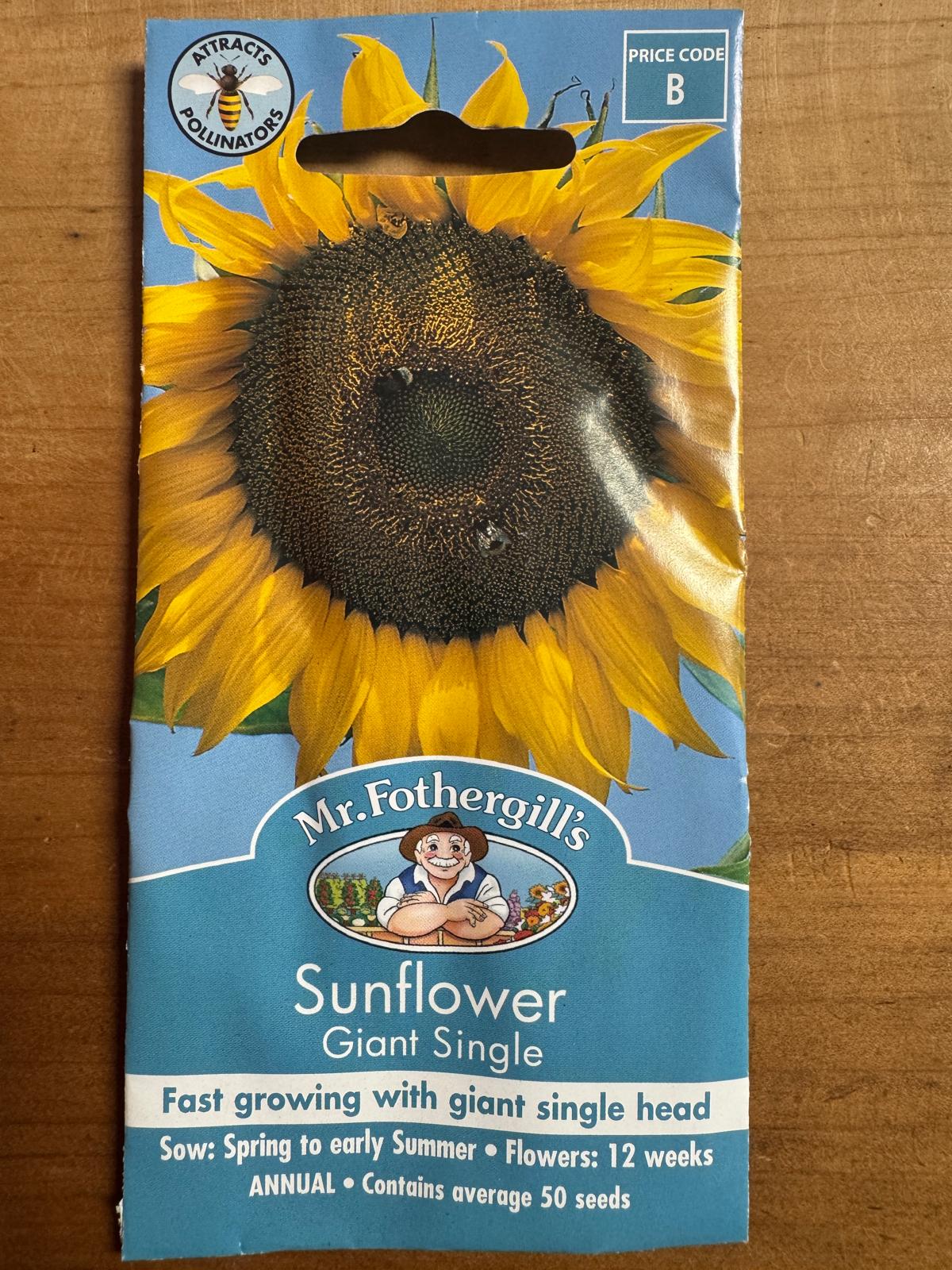 Shop Sunflower - Giant Single - Timberline - Landscape Supplies